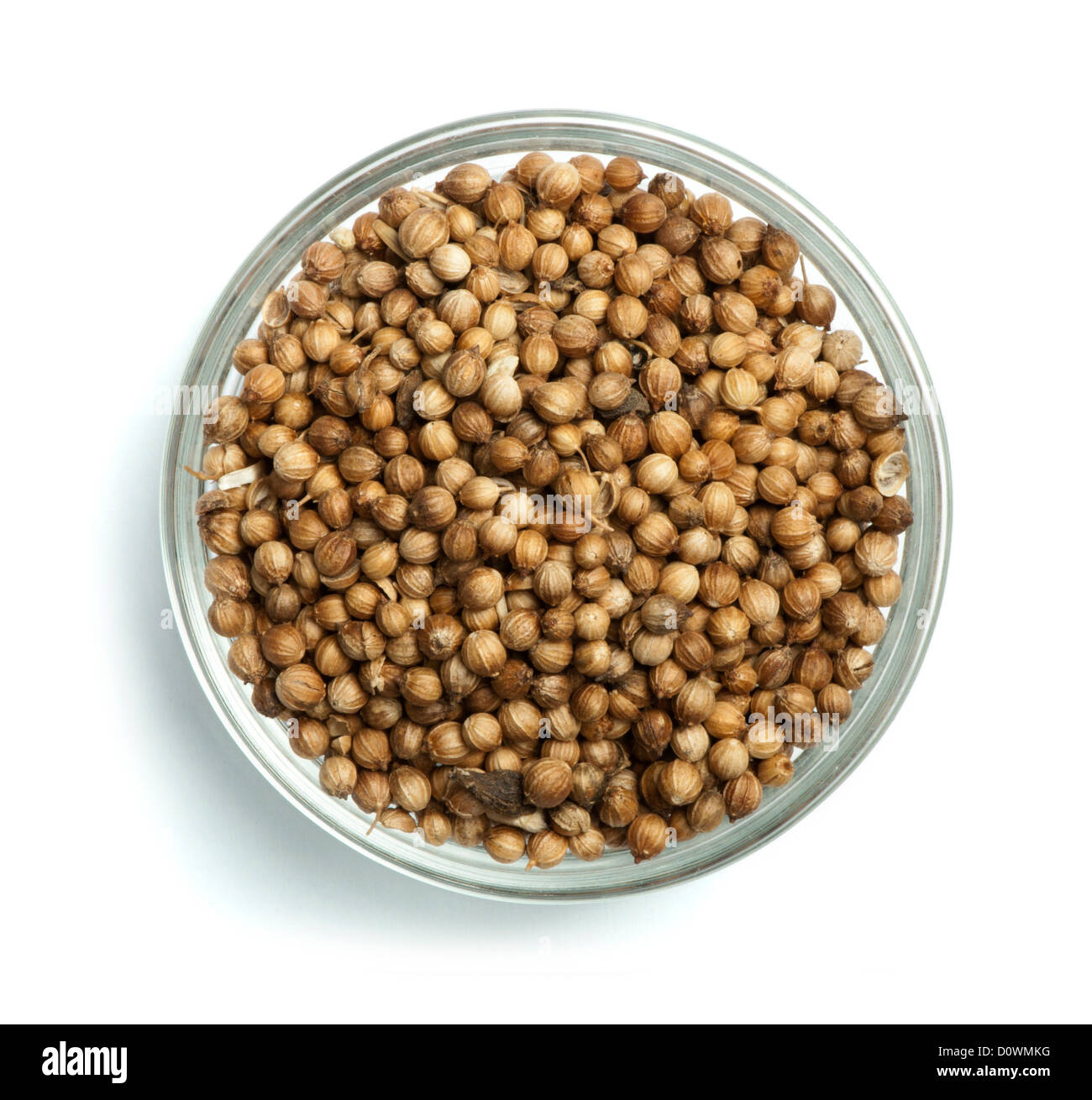 Dried coriander in a bowl on white background Stock Photo - Alamy