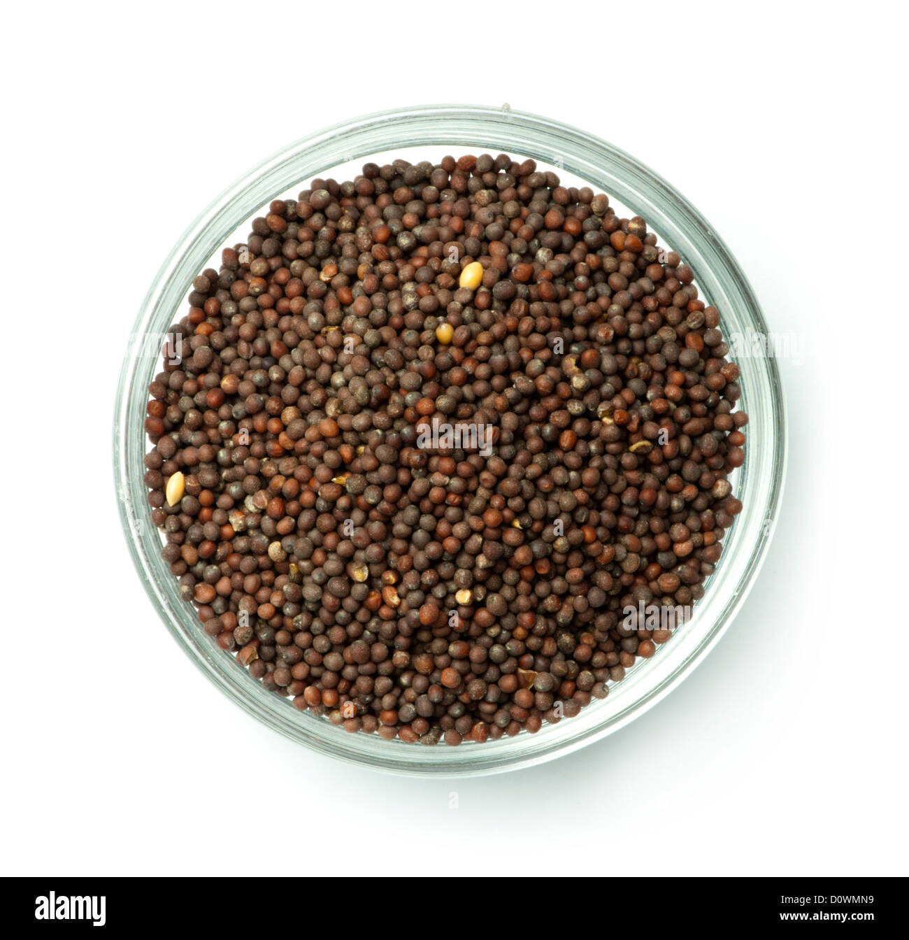 Black mustard in bowl hi-res stock photography and images - Alamy