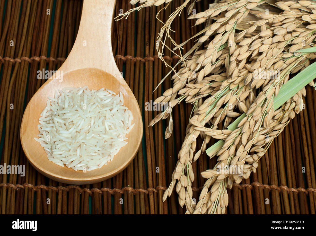 Cereal base hi-res stock photography and images - Alamy