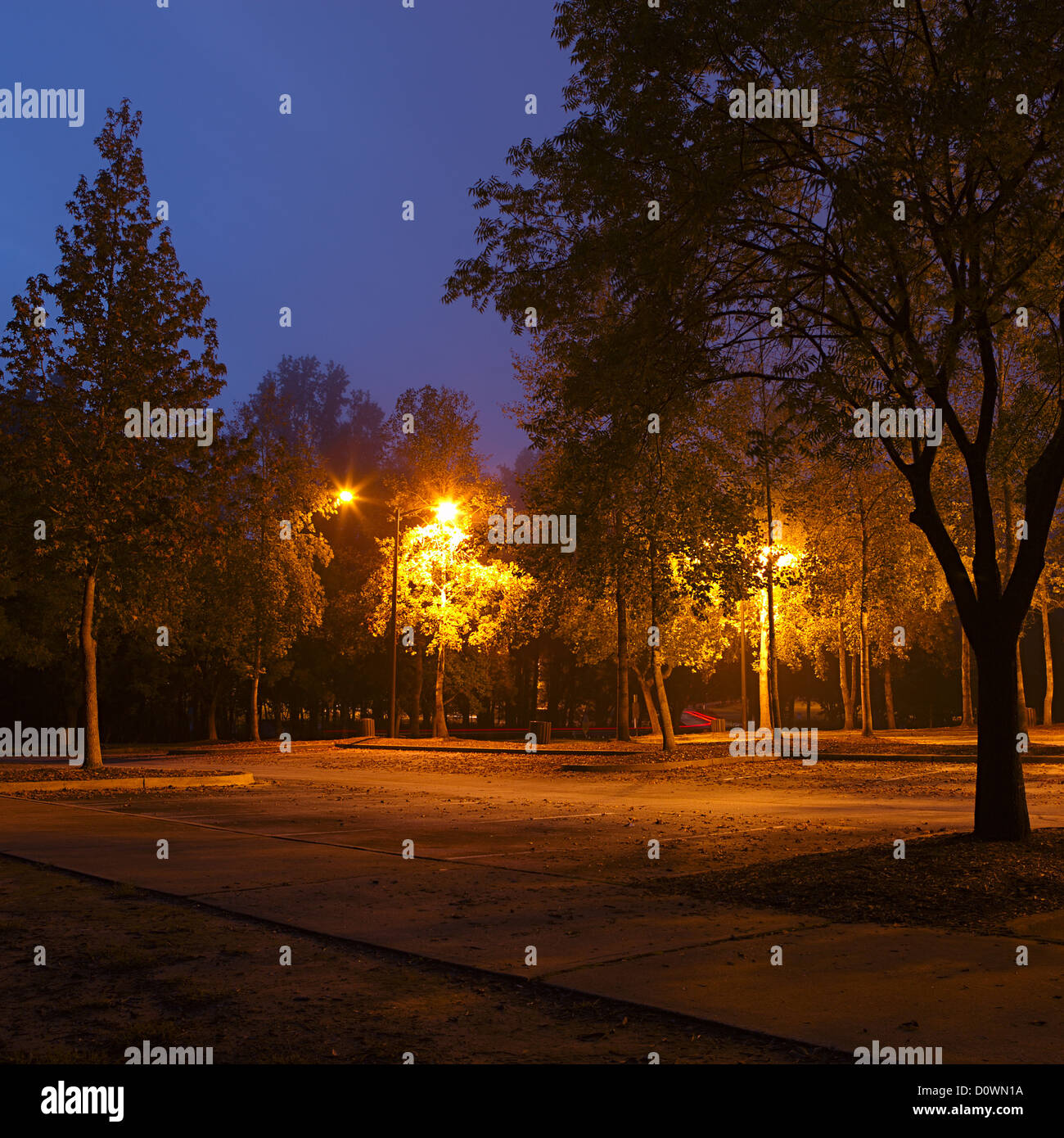 Early morning park Stock Photo - Alamy
