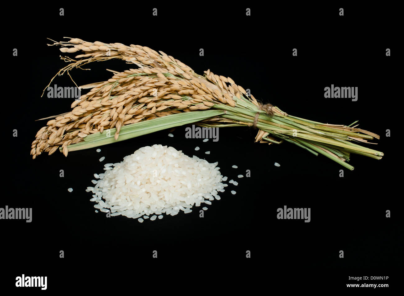 Baldo rice hi-res stock photography and images - Alamy