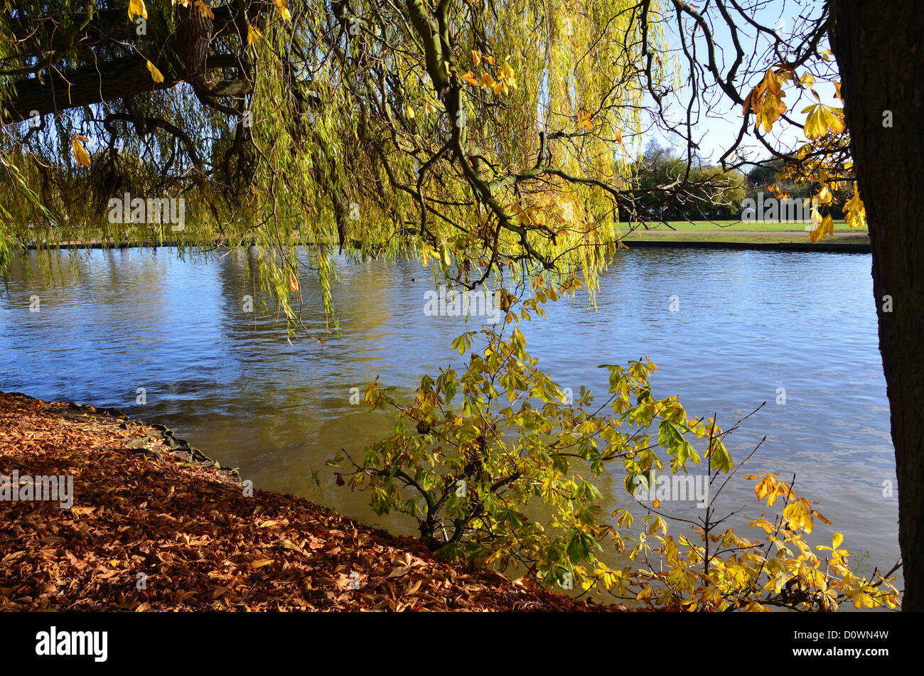Stratford autumn river scene hi-res stock photography and images - Alamy