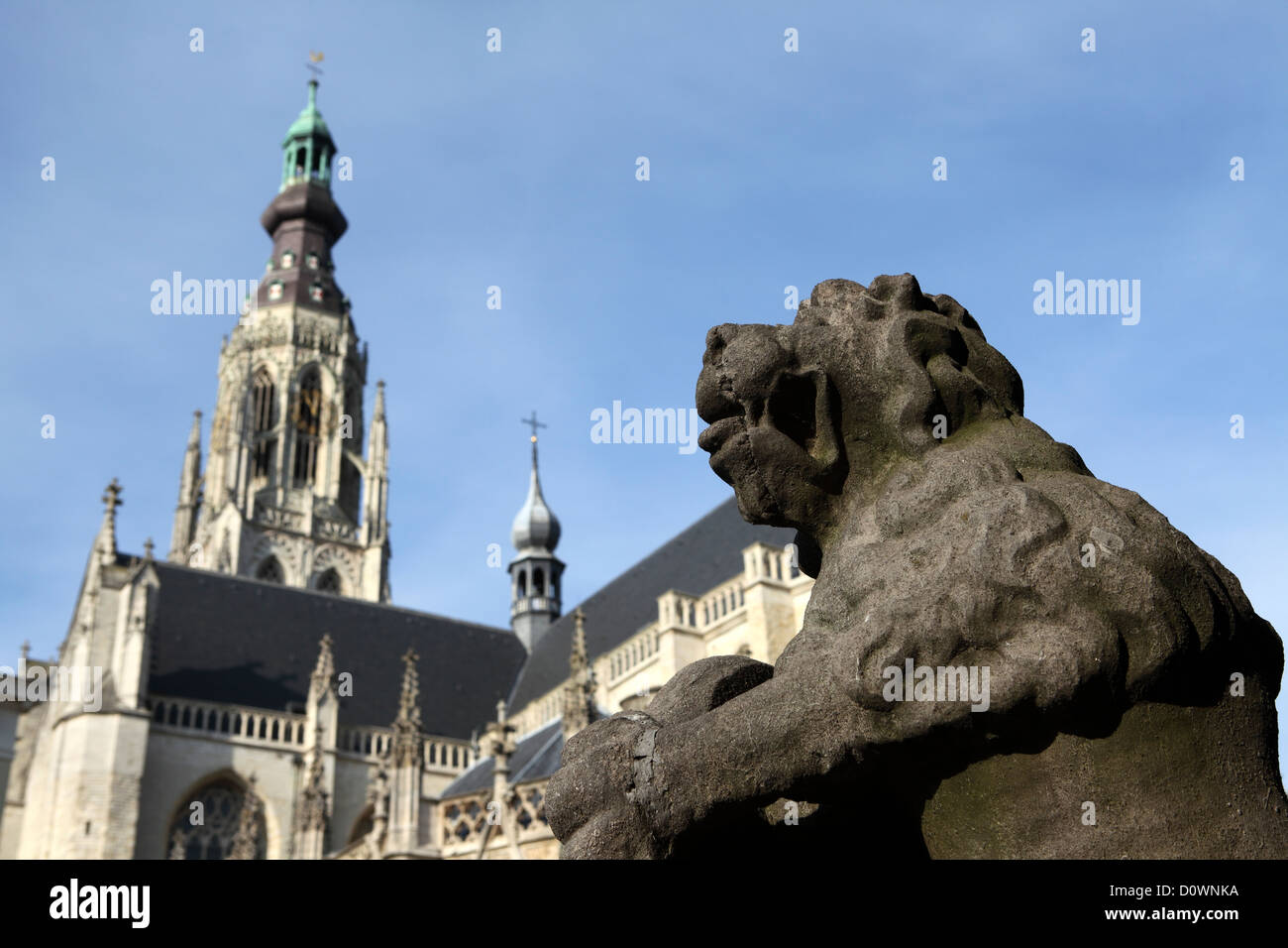 The Grote Kerk, also known as Onze Lieve Vrouwekerk (Church of Our Lady ...