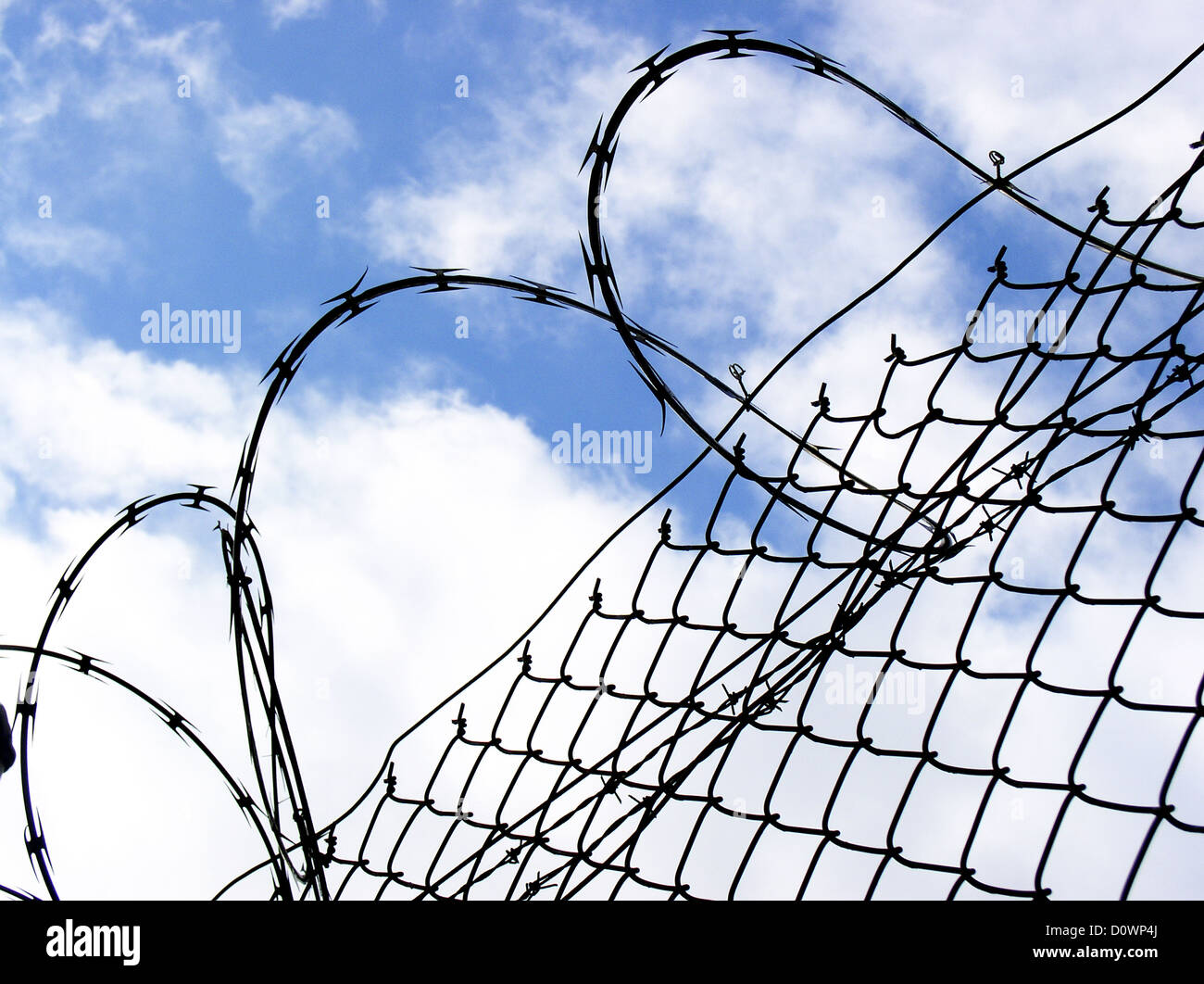 razor wire wrapped on top of a chain link fence on Vernon Boulevard ...