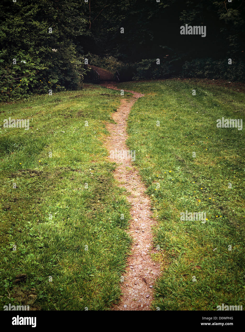 A worn footpath in grass leading to woodland in Redditch ...