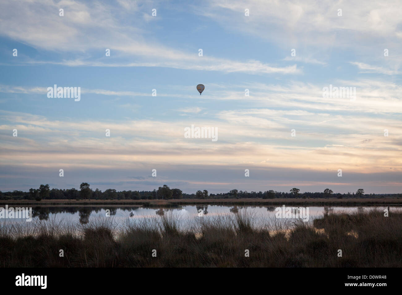 National Park de Groote Peel landscape with a lake and a balloon ...