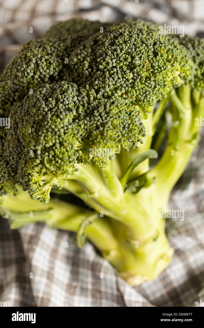 Fresh, Raw Broccoli Stock Photo - Alamy
