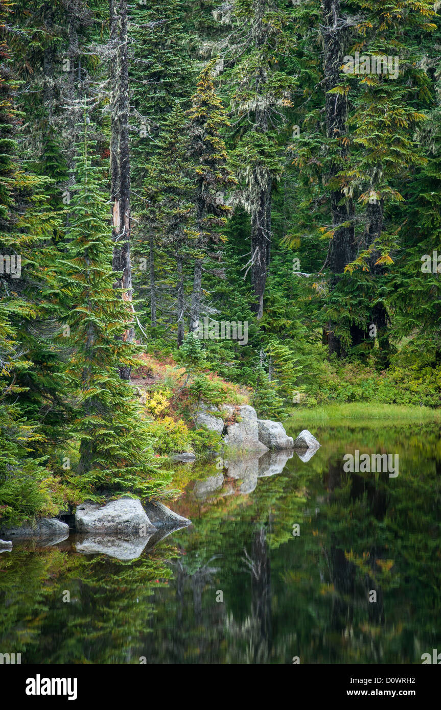 Deep Lake, Indian Heaven Wilderness, Cascade Mountains, Washington ...