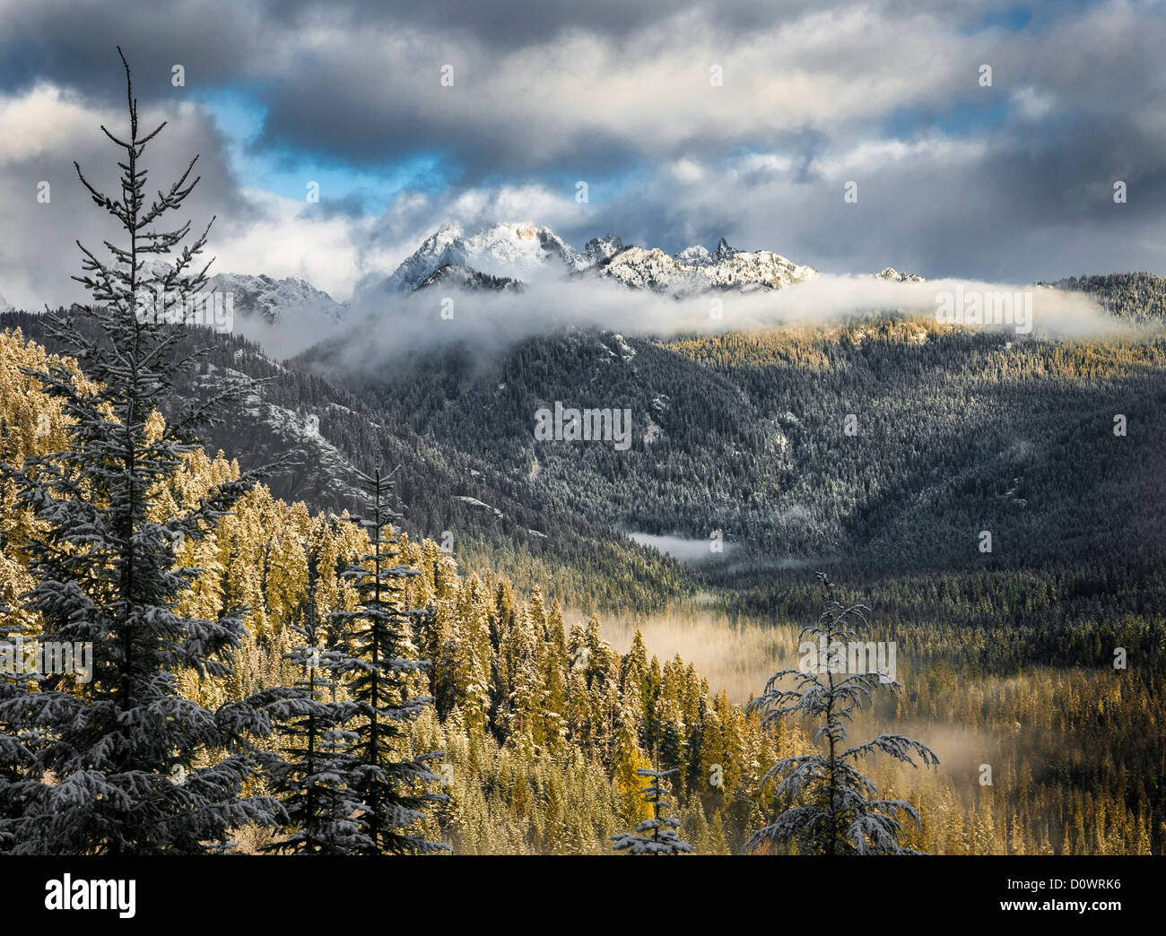 Three queens hi-res stock photography and images - Alamy