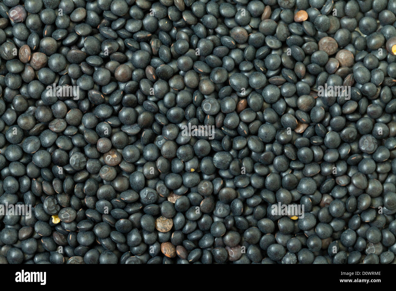 Backdrop of Black Lentil, closeup Stock Photo - Alamy