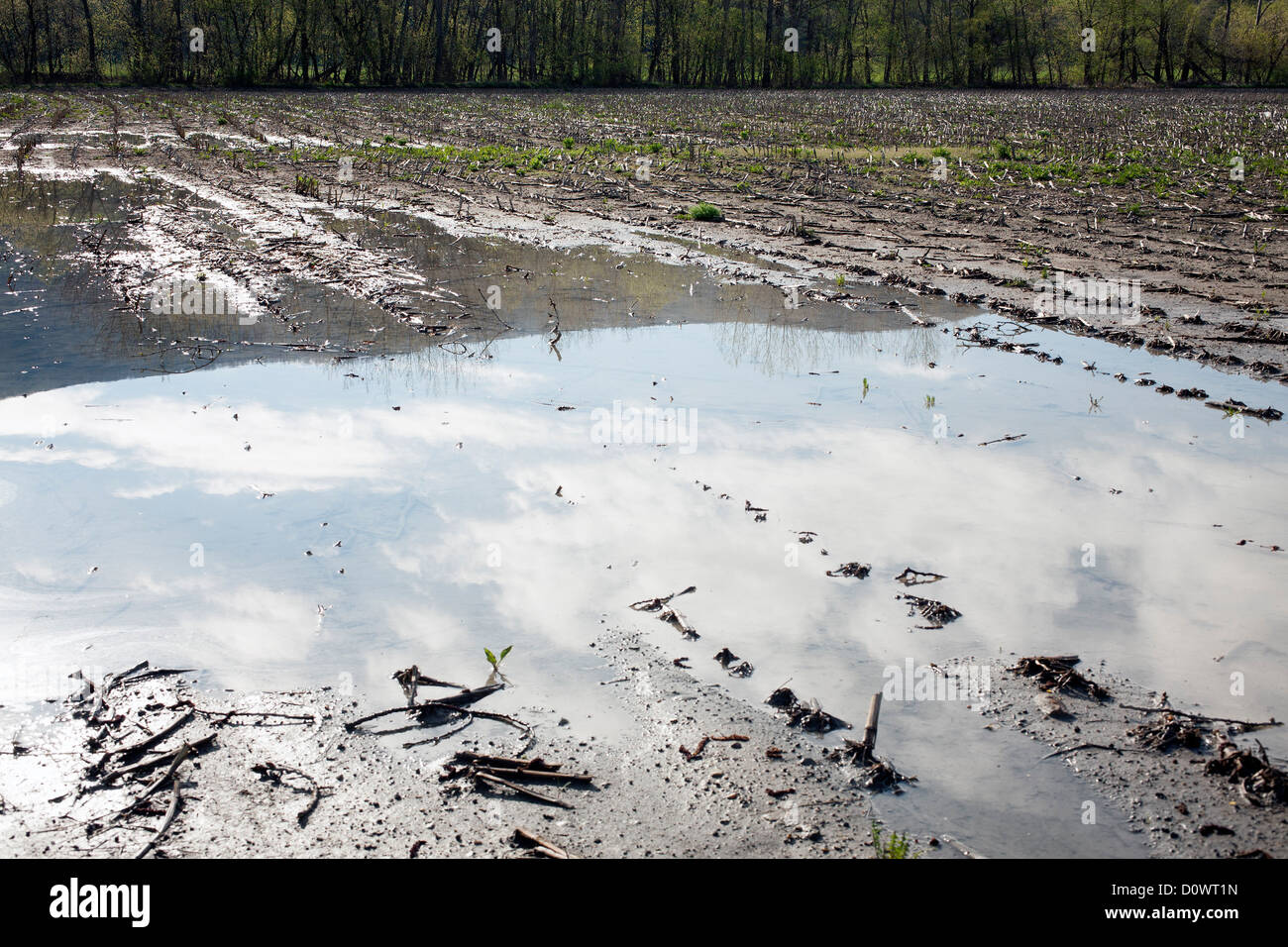 Standing water keeps the farmer from plowing his field in the spring ...