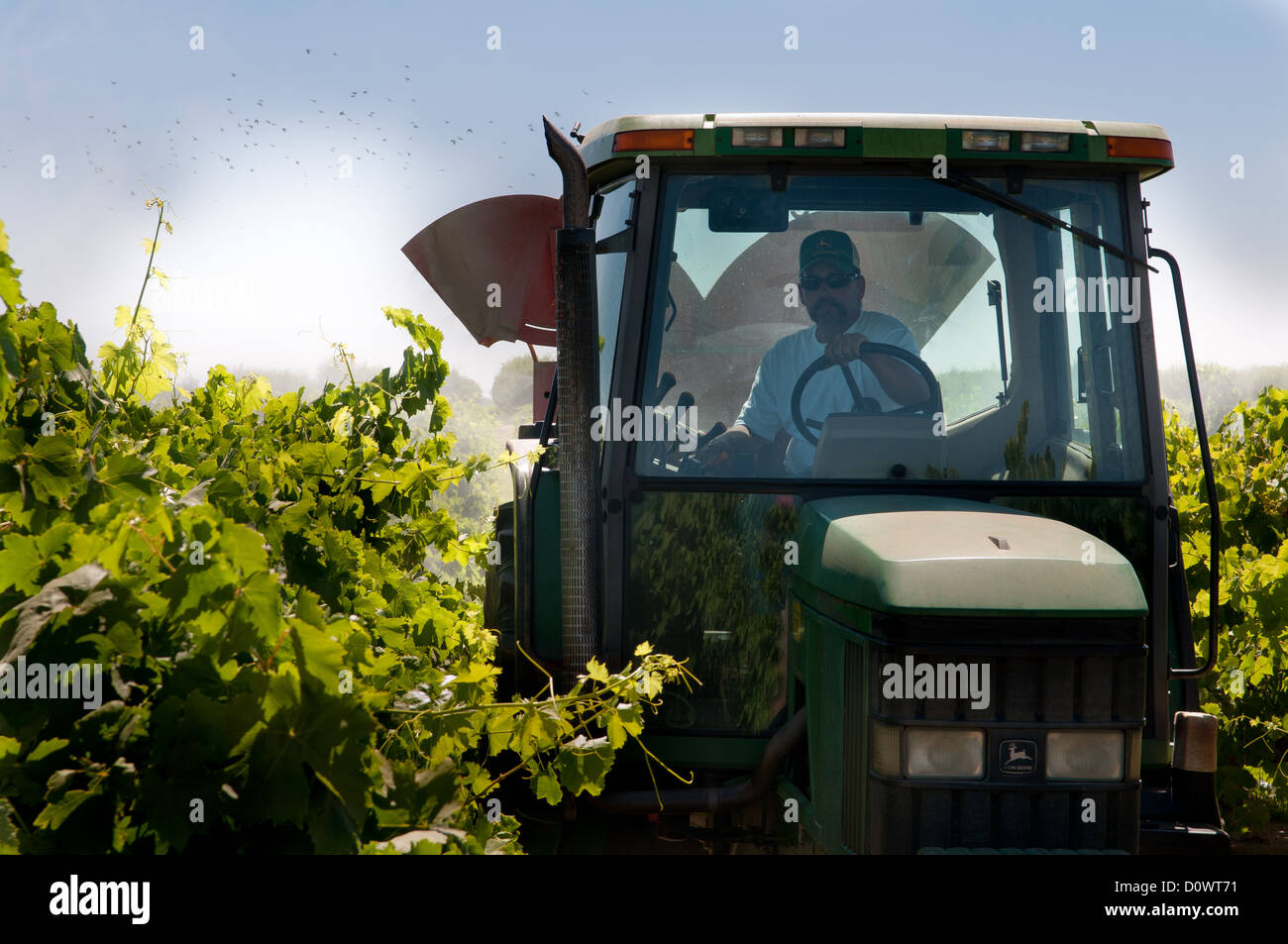 Spraying pesticide vineyard hi-res stock photography and images - Alamy