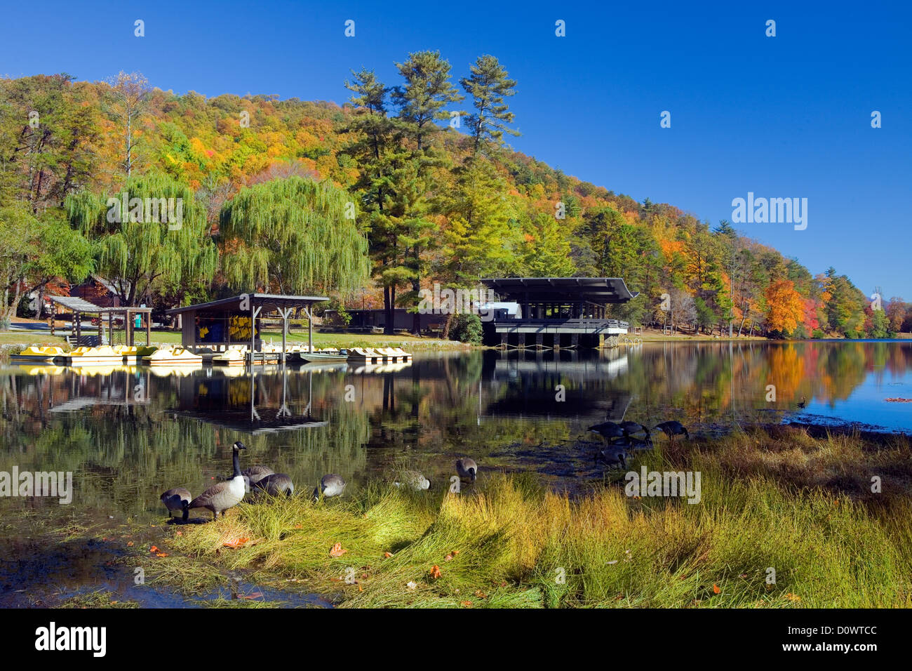 Trahlyya hi-res stock photography and images - Alamy