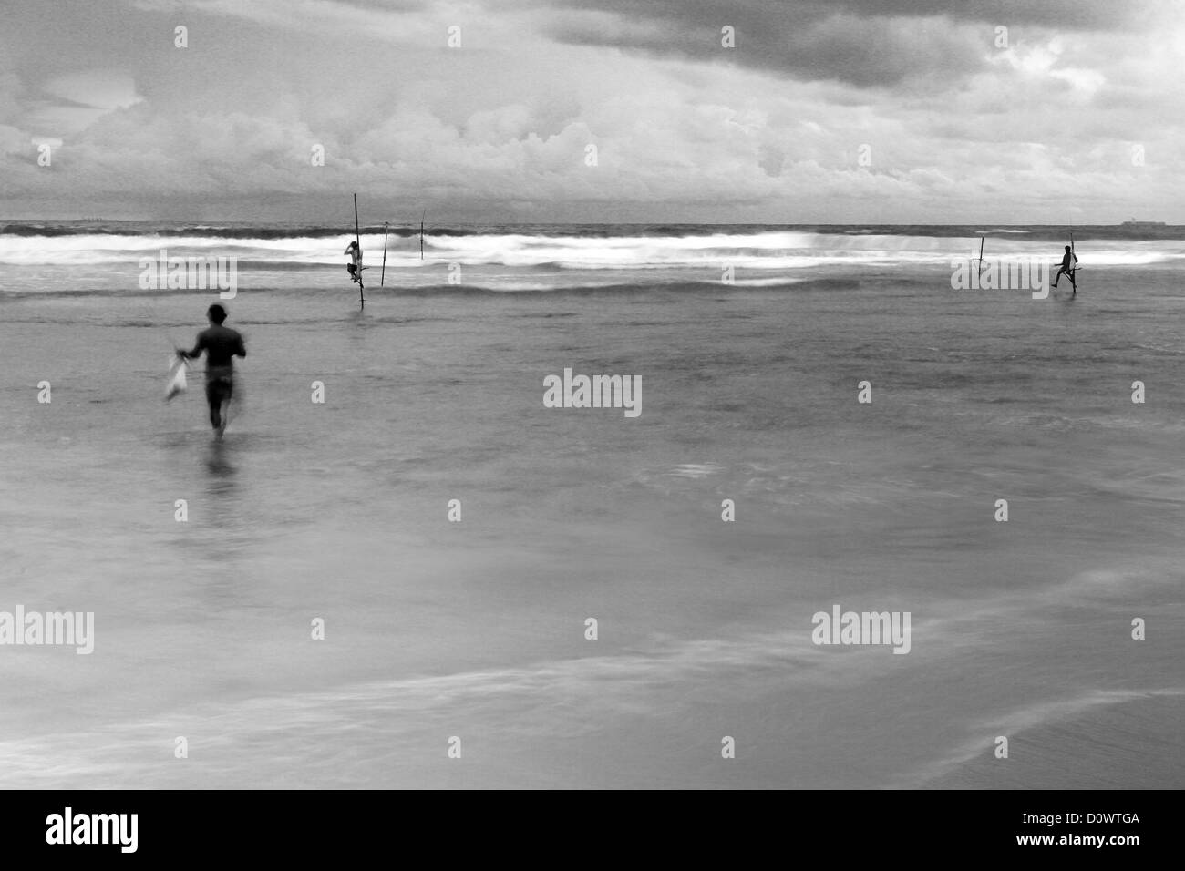 Catching sardines hi-res stock photography and images - Alamy