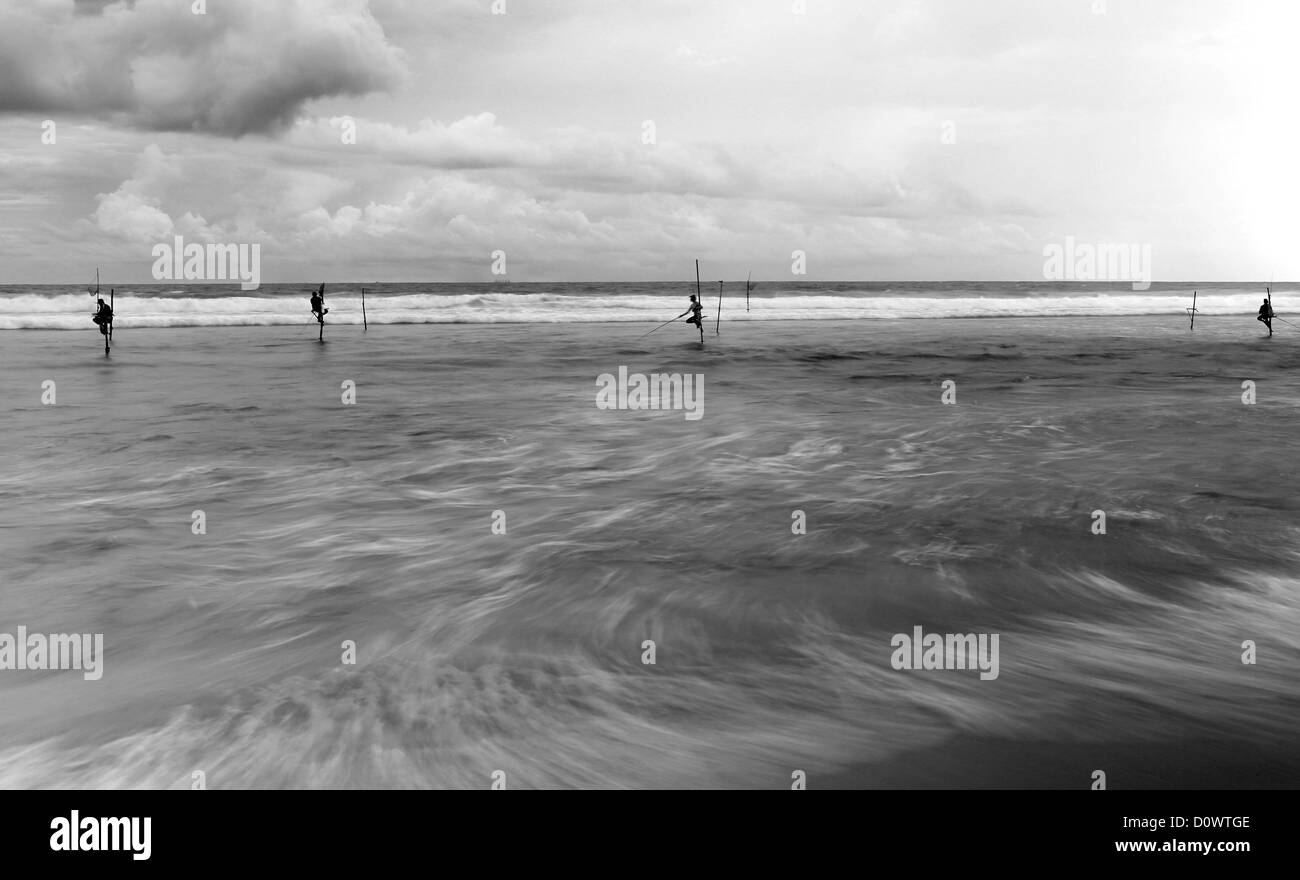 Traditional stilt fishermen catching sardines amongst large surf in ...