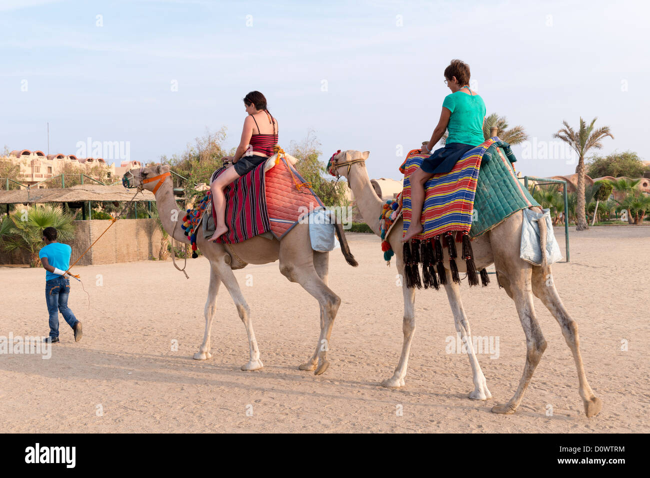 Woman riding camel hi-res stock photography and images - Alamy