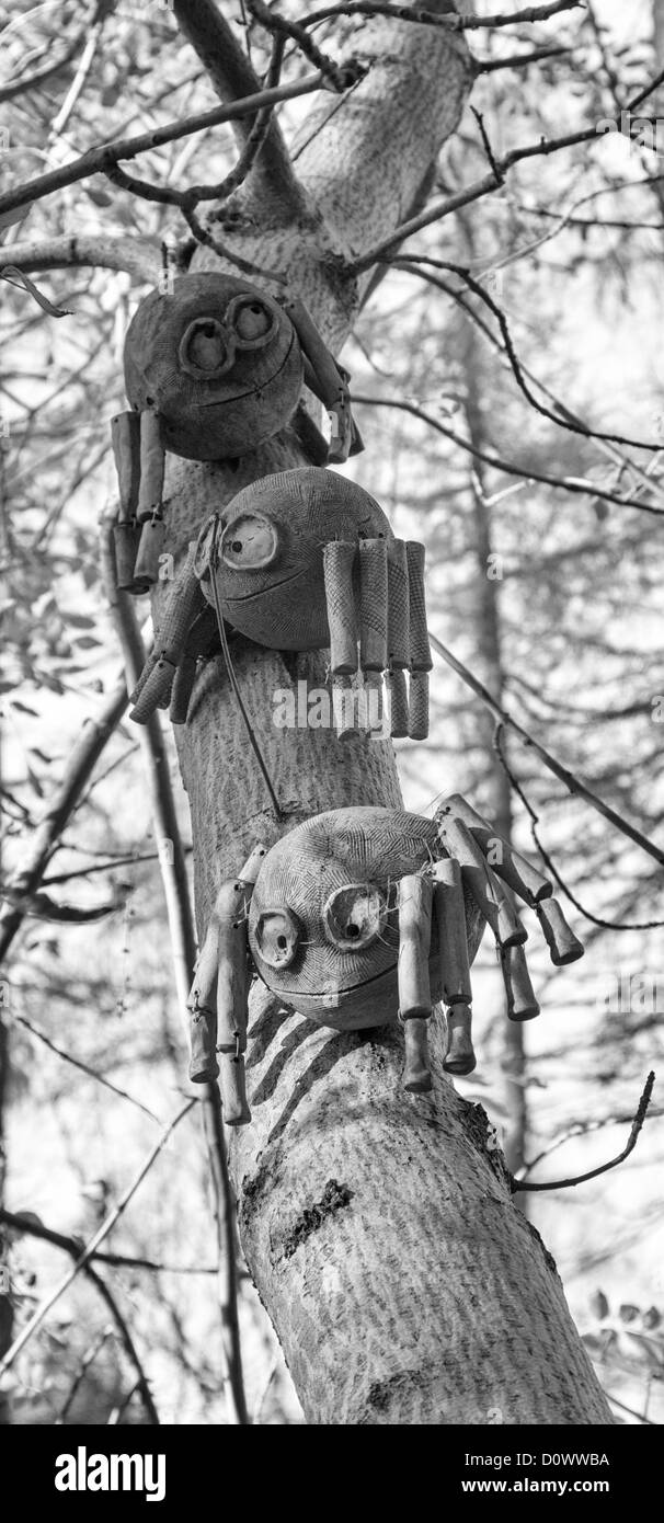 Tree Spiders High Resolution Stock Photography and Images - Alamy