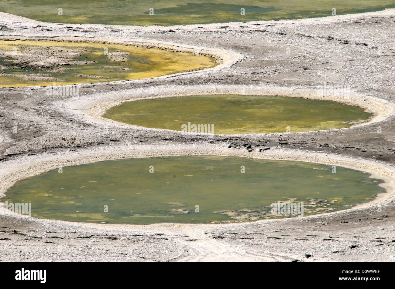 Spotted lake hi-res stock photography and images - Alamy