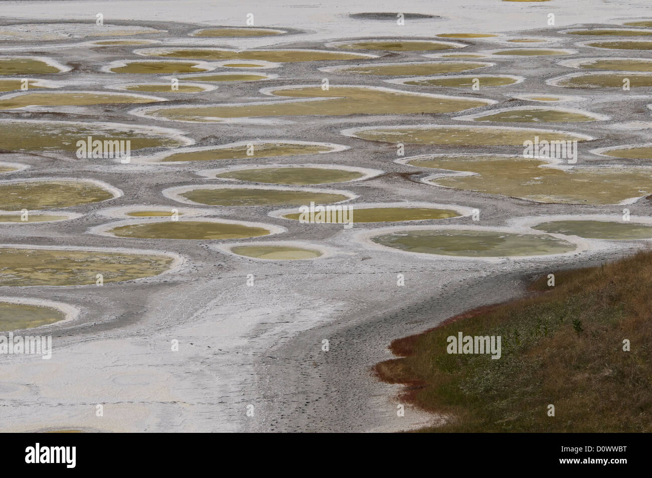 Spotted lake canada hi-res stock photography and images - Alamy