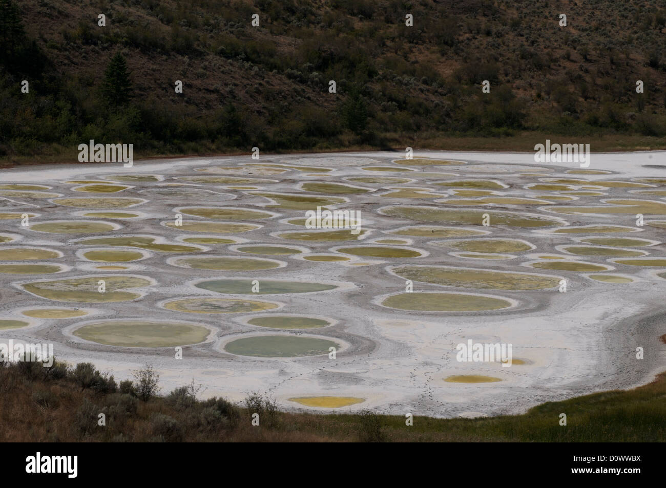 Spotted lake hi-res stock photography and images - Alamy