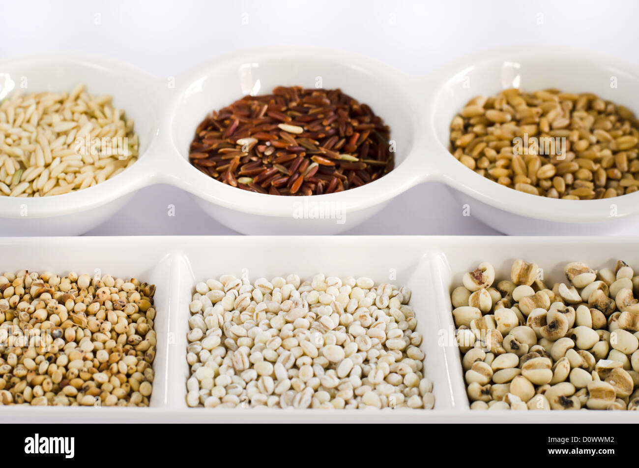 Grain and Cereal Set , rice , red rice , wheat, job's tears , barley ...