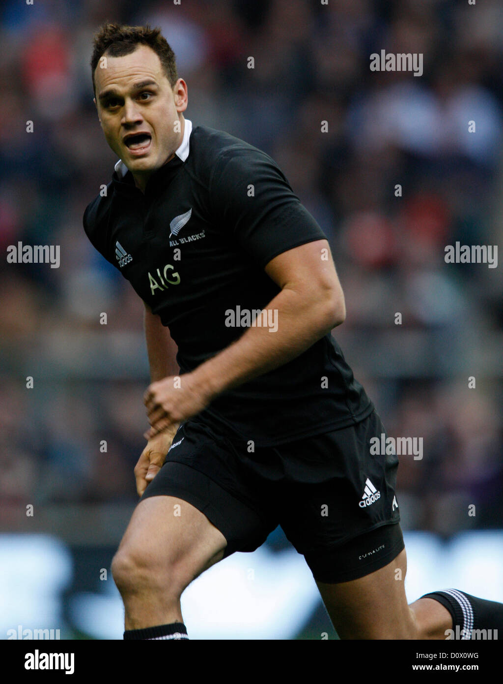 Israel dagg hi-res stock photography and images - Alamy
