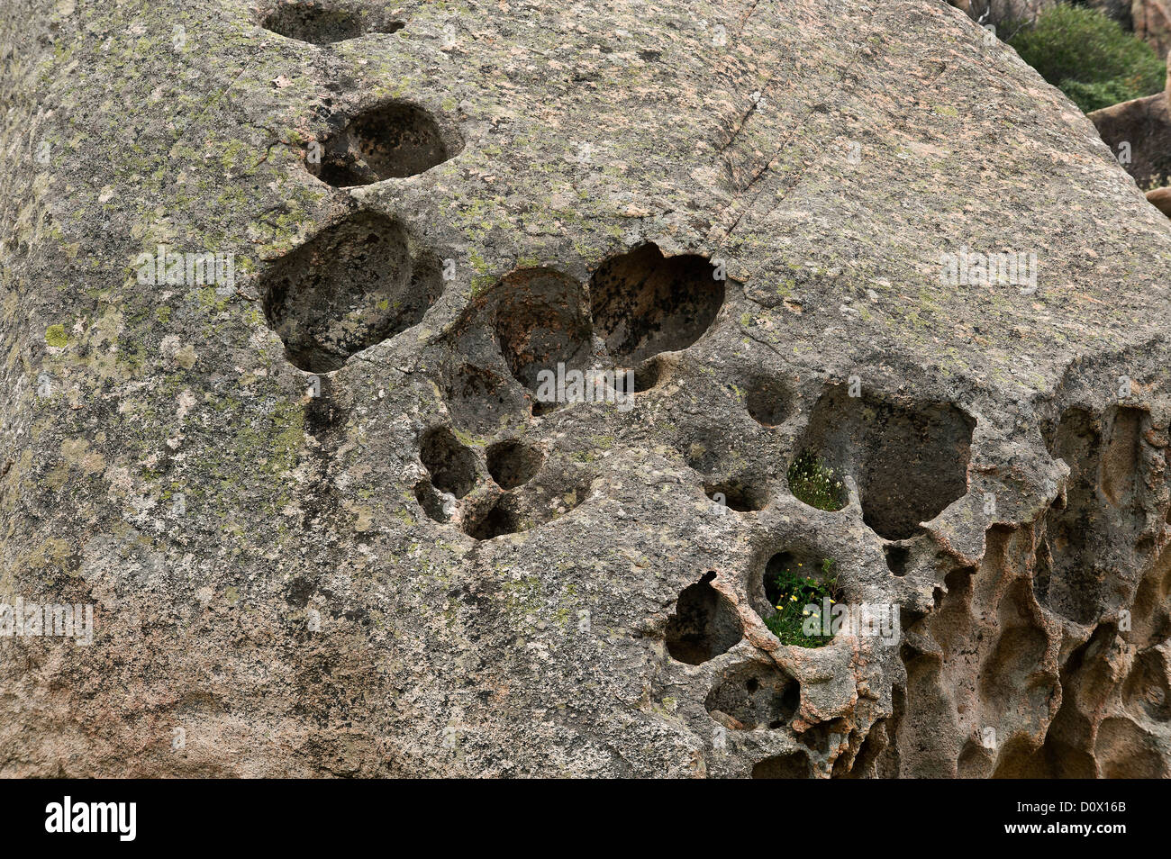 Rain and wind effects hi-res stock photography and images - Alamy