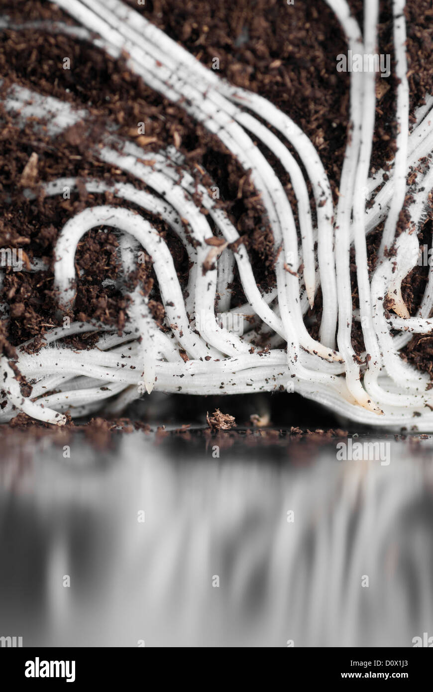 Solar pv plant hi-res stock photography and images - Alamy