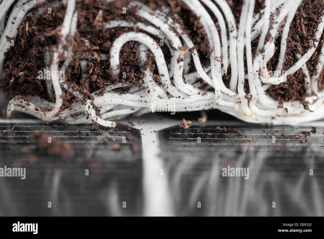 Solar pv plant hi-res stock photography and images - Alamy