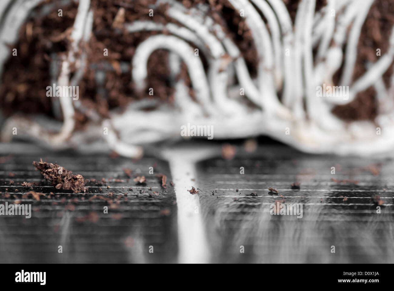 Solar pv plant hi-res stock photography and images - Alamy