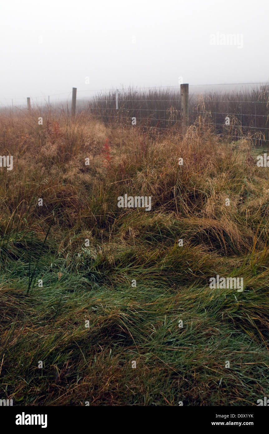 mist on your moor Derbyshire Ray Boswell Stock Photo - Alamy