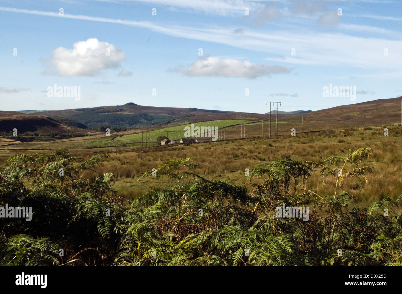 lone farm on the moors Stock Photo - Alamy