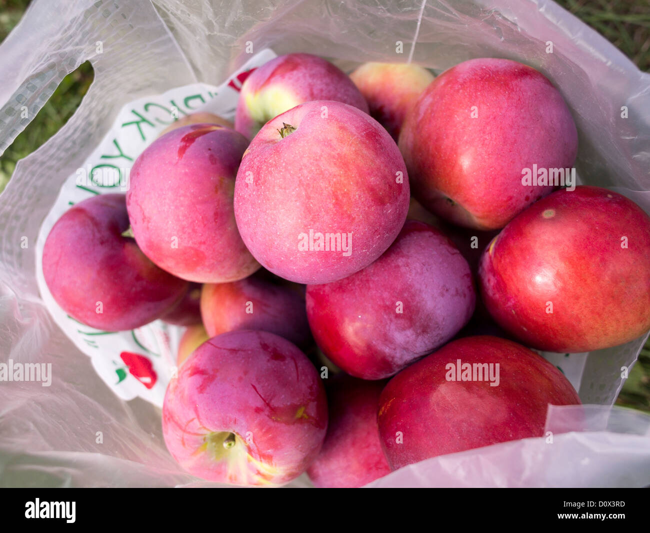 Ontario apples hi-res stock photography and images - Alamy