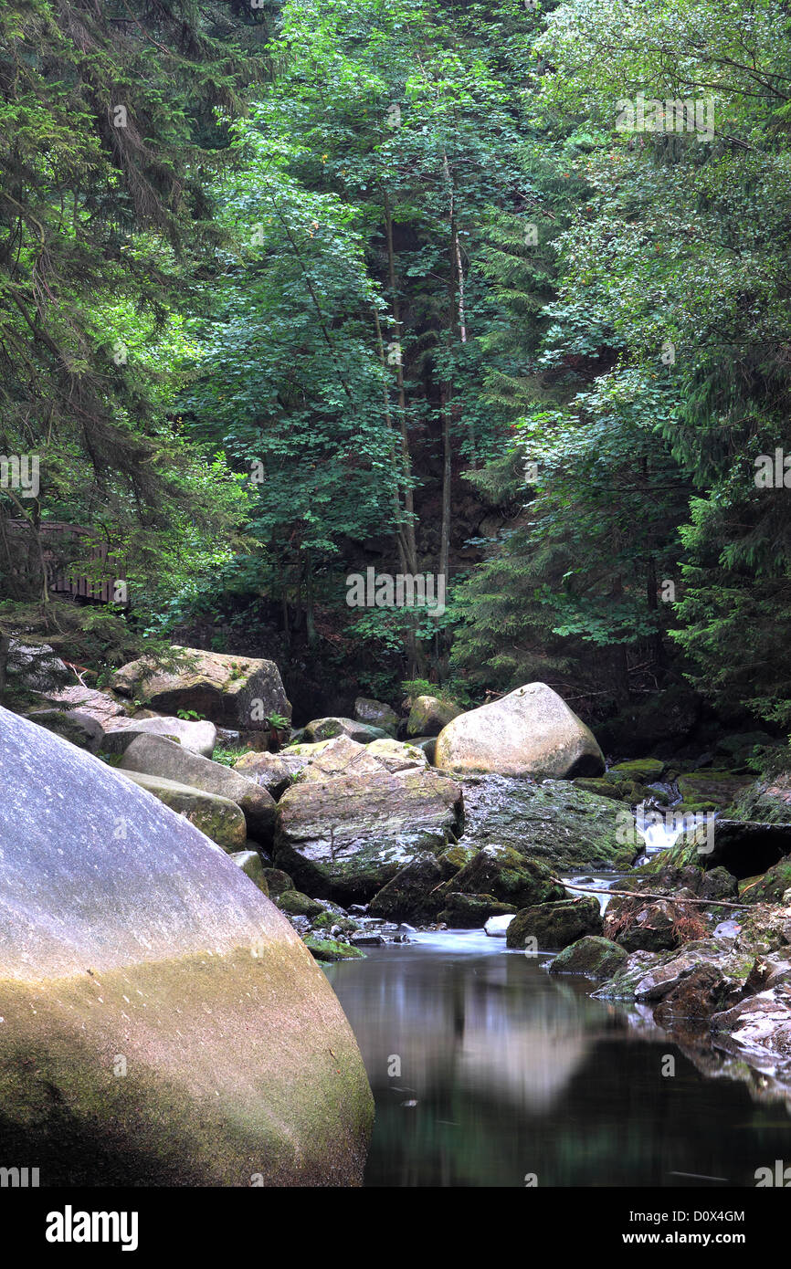 streambed of river oker in german harz region Stock Photo - Alamy