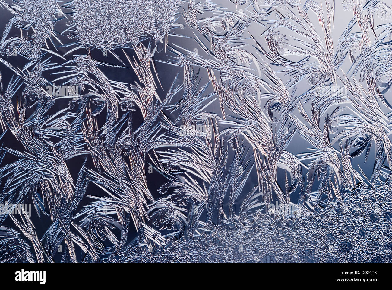 frost with strong blue light Stock Photo - Alamy