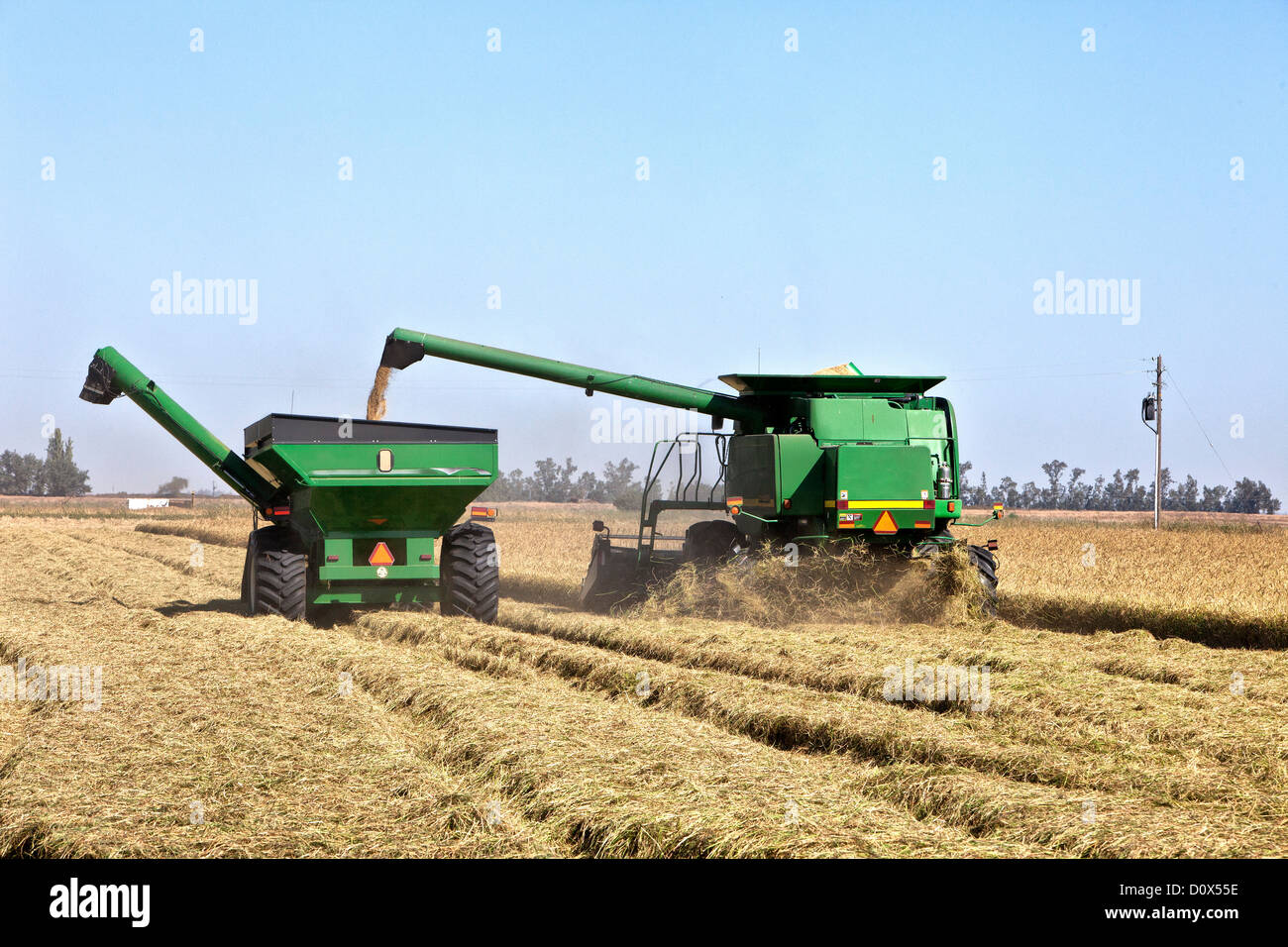 Rice farming tractor High Resolution Stock Photography and Images - Alamy