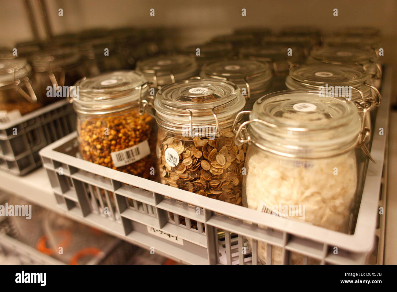 Stack of bottles containing spices at the Gene Bank laboratories inside ...