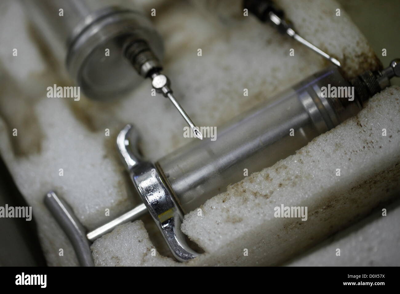 Syringes at the Dairy Farm in the Volcani Institute agricultural ...