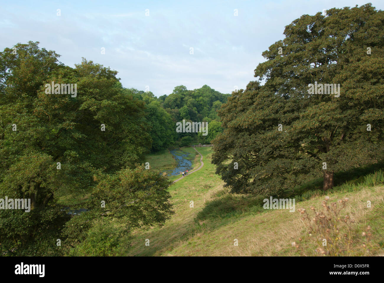 Peak District National Park landscape with River Lathkill, Derbyshire ...