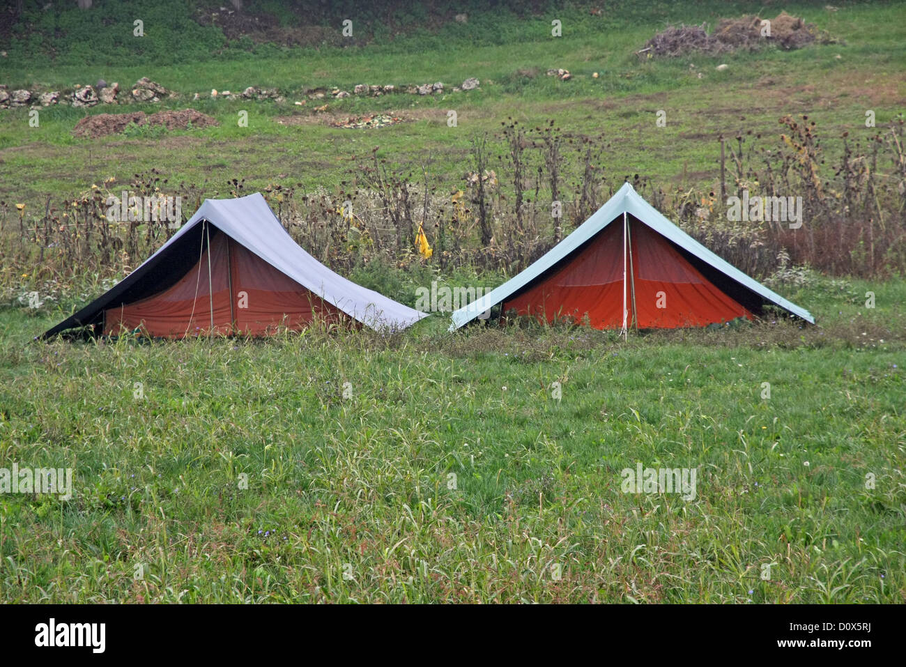 Boy scouts and tent hi-res stock photography and images - Alamy