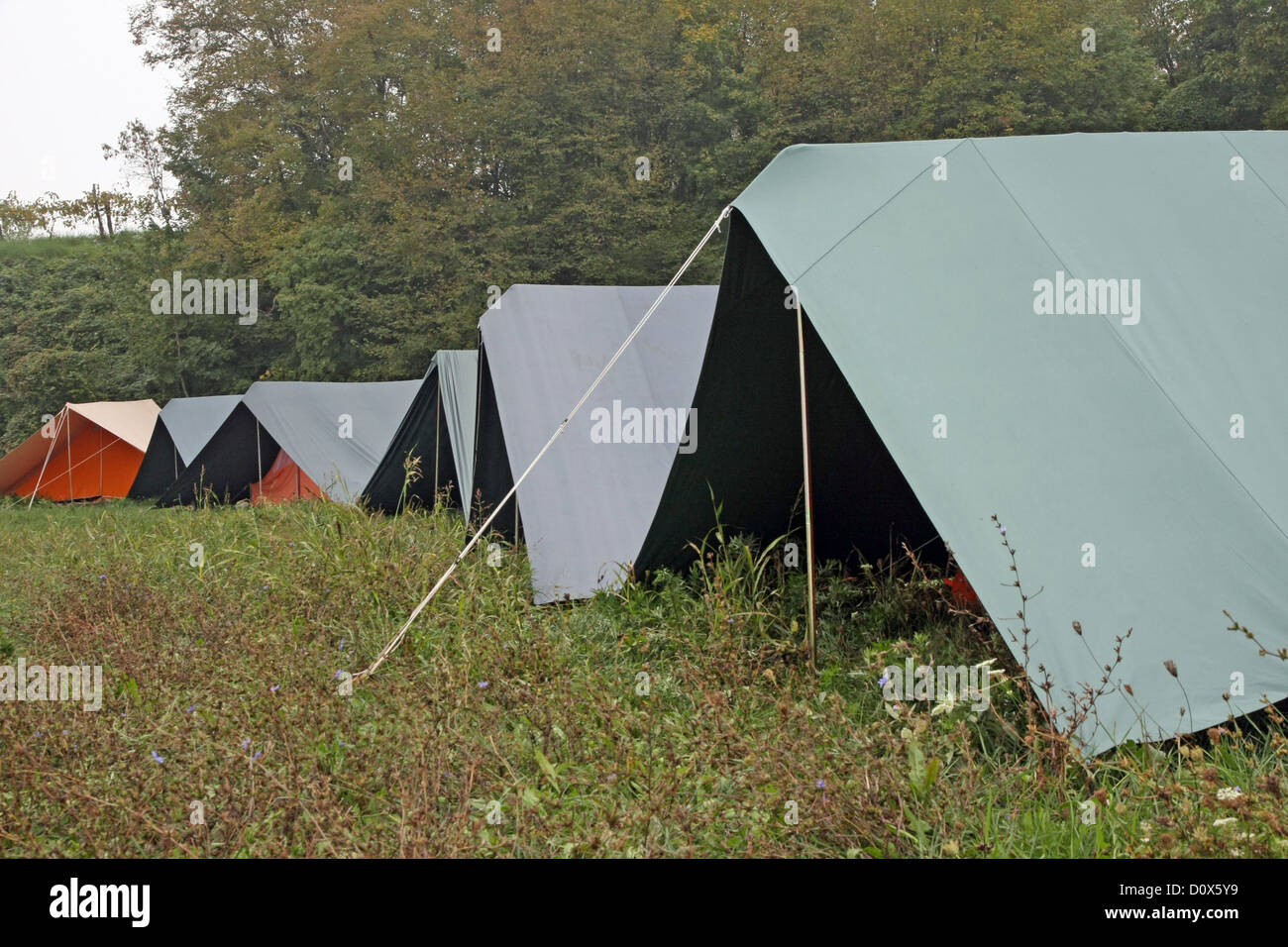 Boy scouts and tents hi-res stock photography and images - Alamy