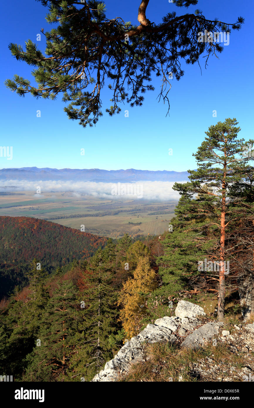 Turiec hi-res stock photography and images - Alamy