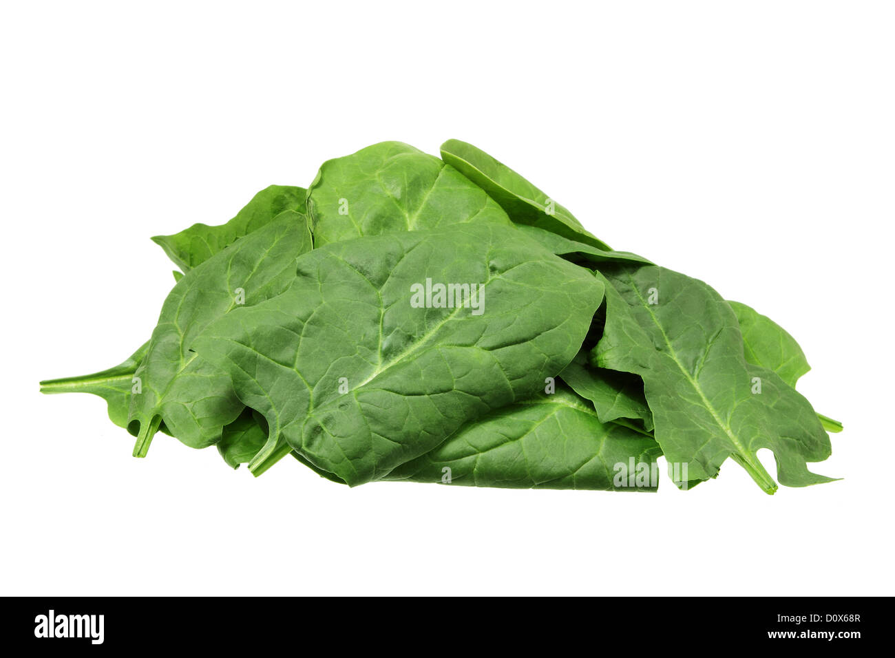 Spinach cut out hi-res stock photography and images - Alamy