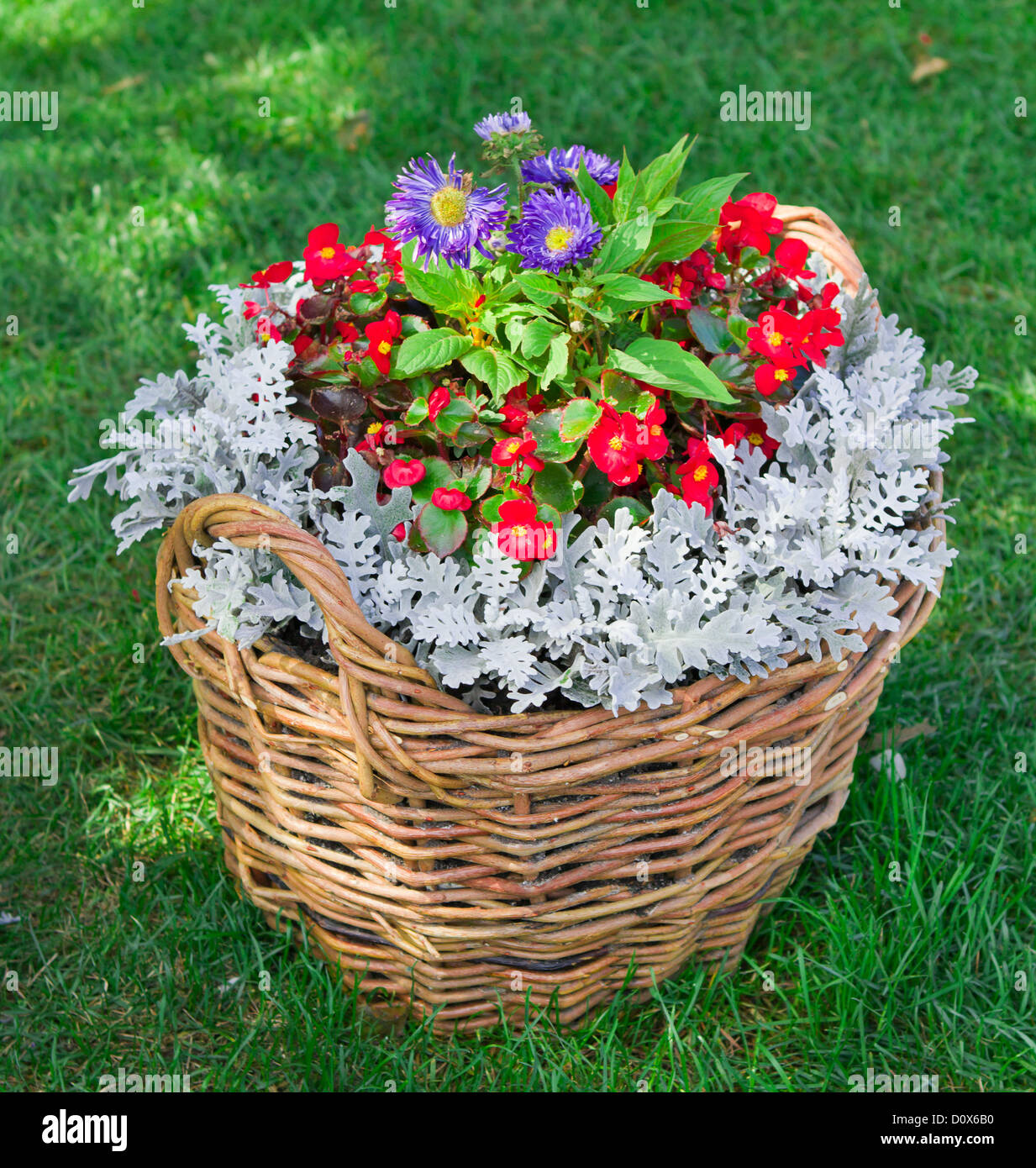 beautiful basket of flowers in the garden landscape Stock Photo - Alamy
