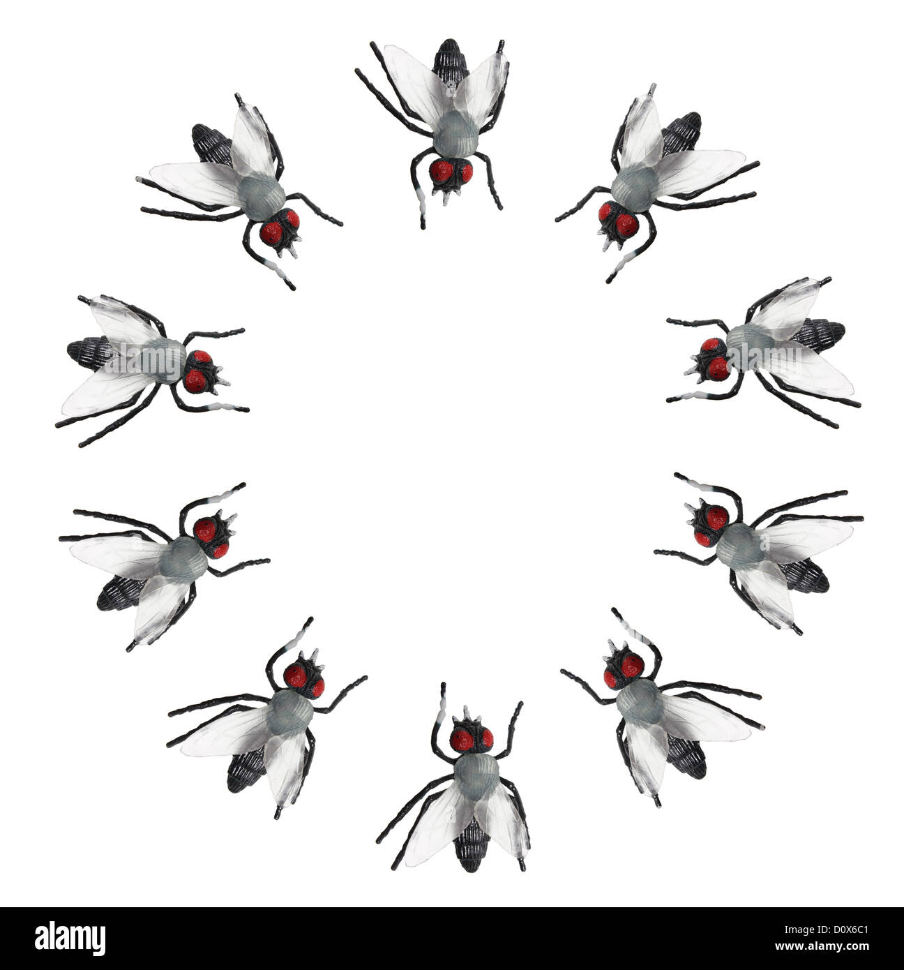 Nuisance flies Cut Out Stock Images & Pictures - Alamy