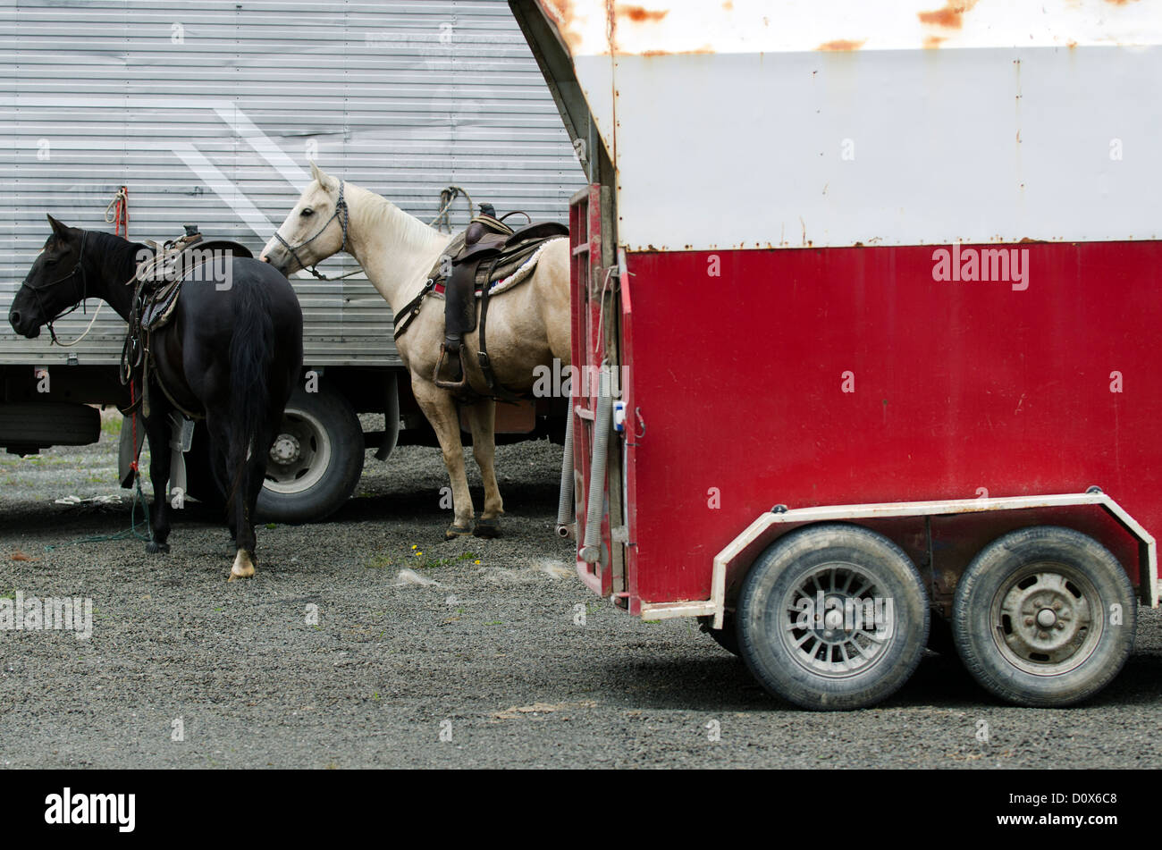 Rodeo Wagon High Resolution Stock Photography and Images - Alamy