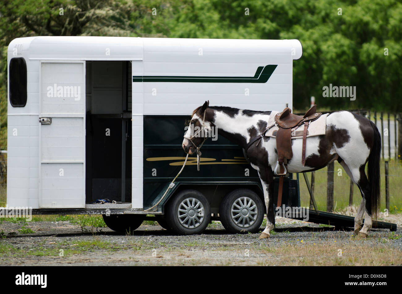 Western Horse Riding Gear High Resolution Stock Photography and Images ...