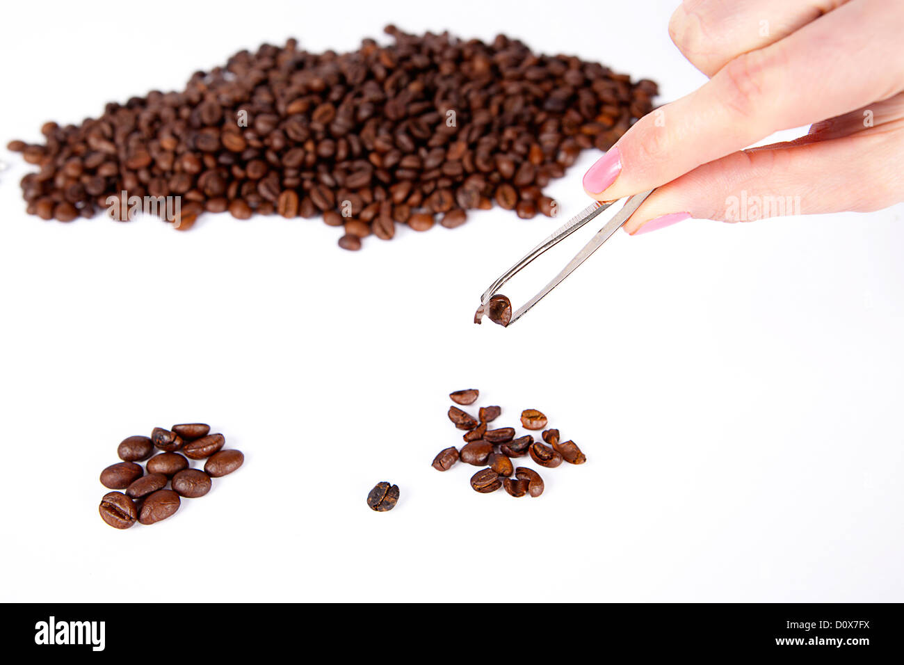 Coffee beans display hi-res stock photography and images - Alamy