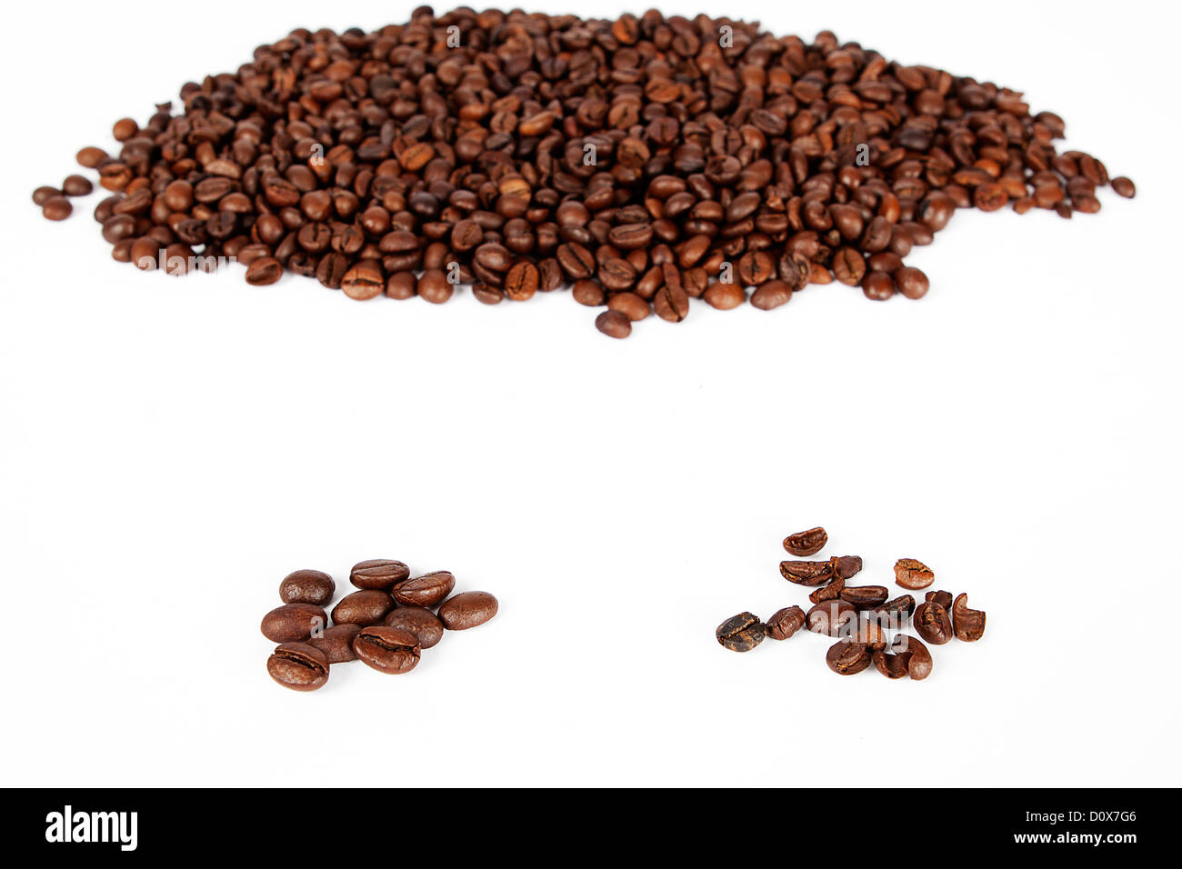 coffee beans sort Stock Photo - Alamy