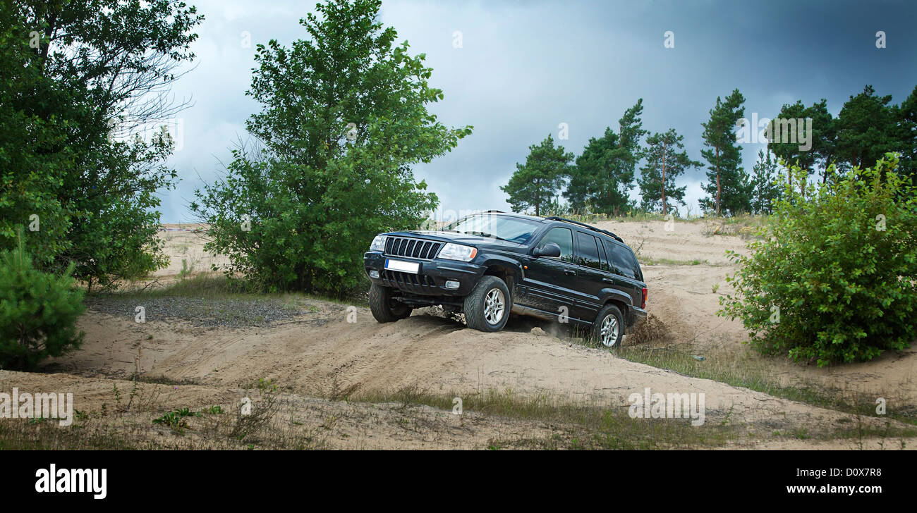 Car off road trees hi-res stock photography and images - Alamy